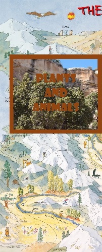 Explore The Carson River Watershed – Carson Water Subconservancy District