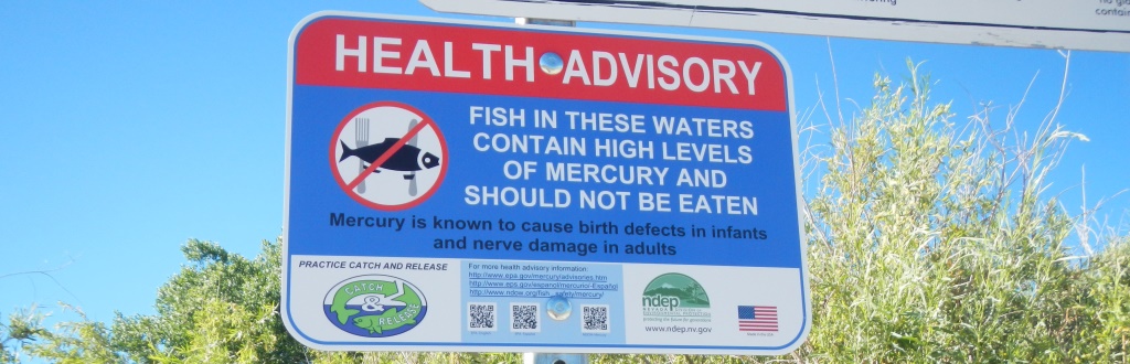 Water Quality – Carson Water Subconservancy District